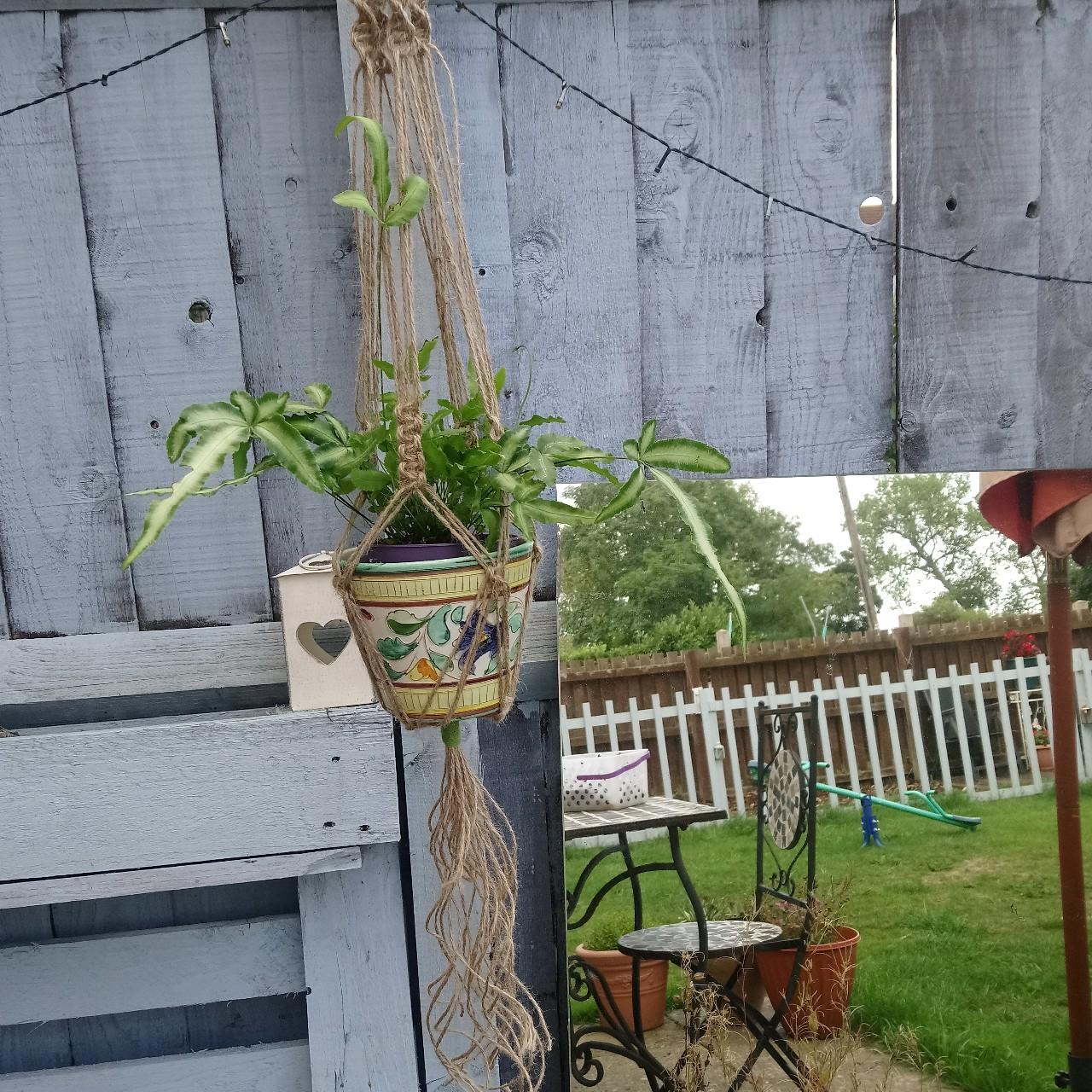 Natural jute string plant hanger with a splash of... - Depop