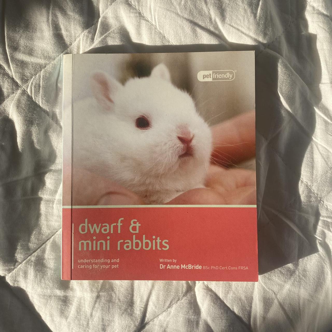 Dwarf & mini rabbits- understanding and caring for... - Depop