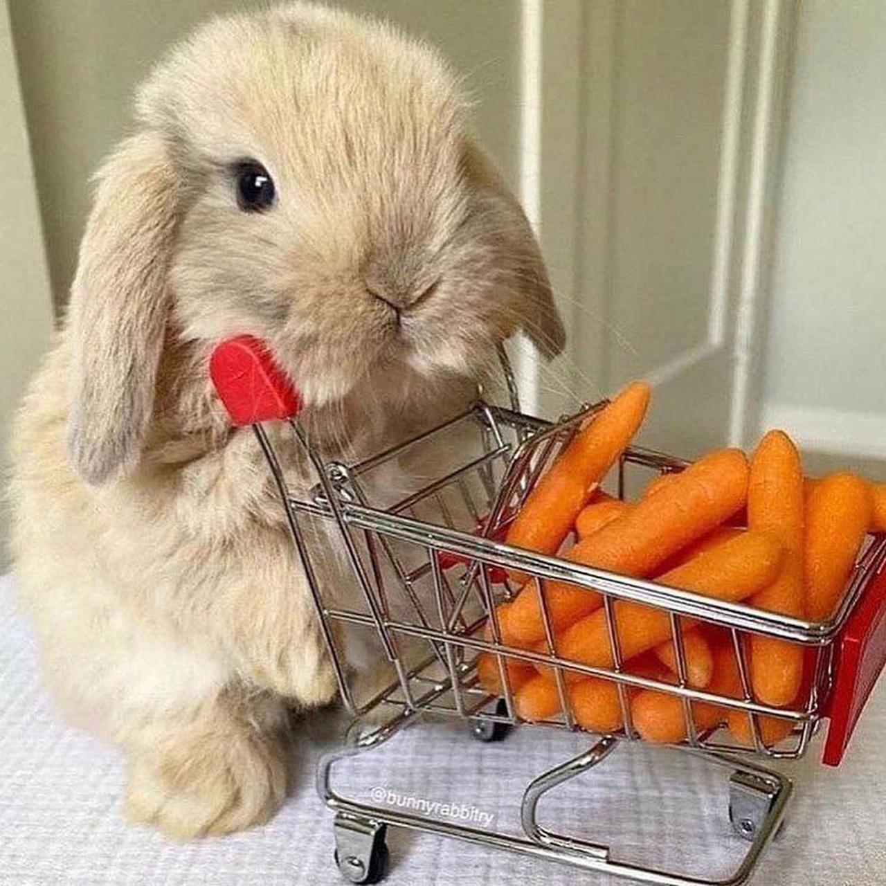 I’m moving so I need everything gone!! Everything is... - Depop