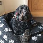 Ellie Riordan's Shop - Depop