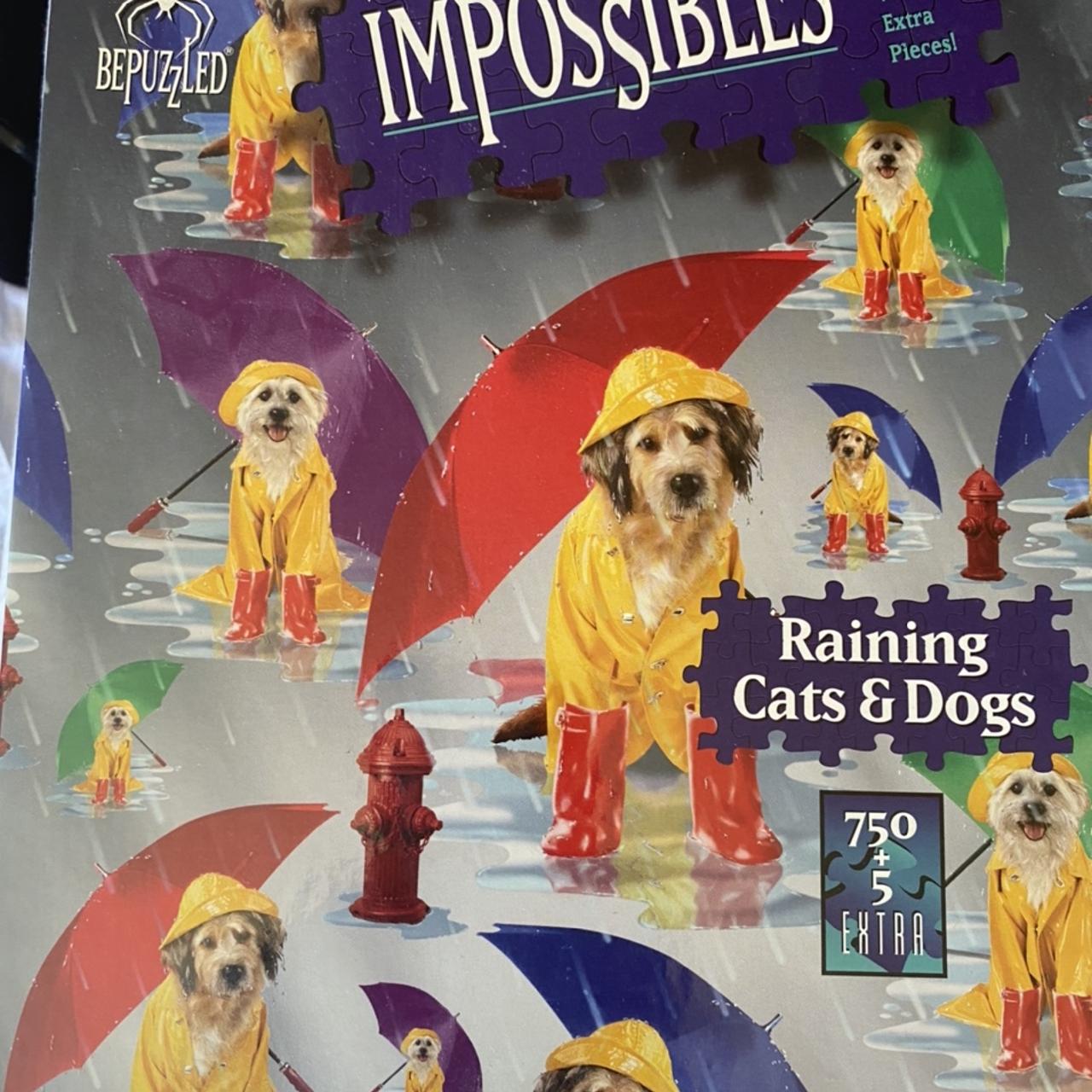 Raining Cats & Dogs Impossibles Puzzle Borderless... - Depop