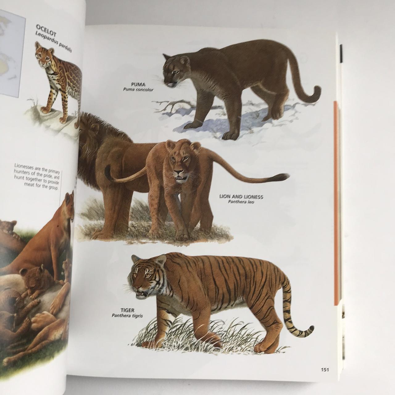 encyclopedia of discovery, visual dictionary... - Depop