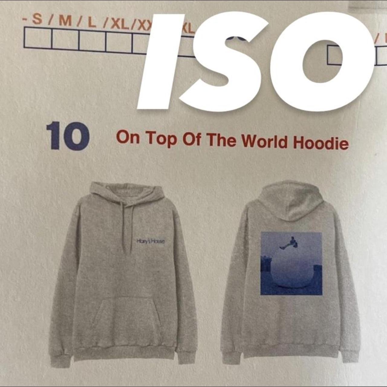 ISO!!!! Grey and Blue Harry’s House On Top Of The... - Depop