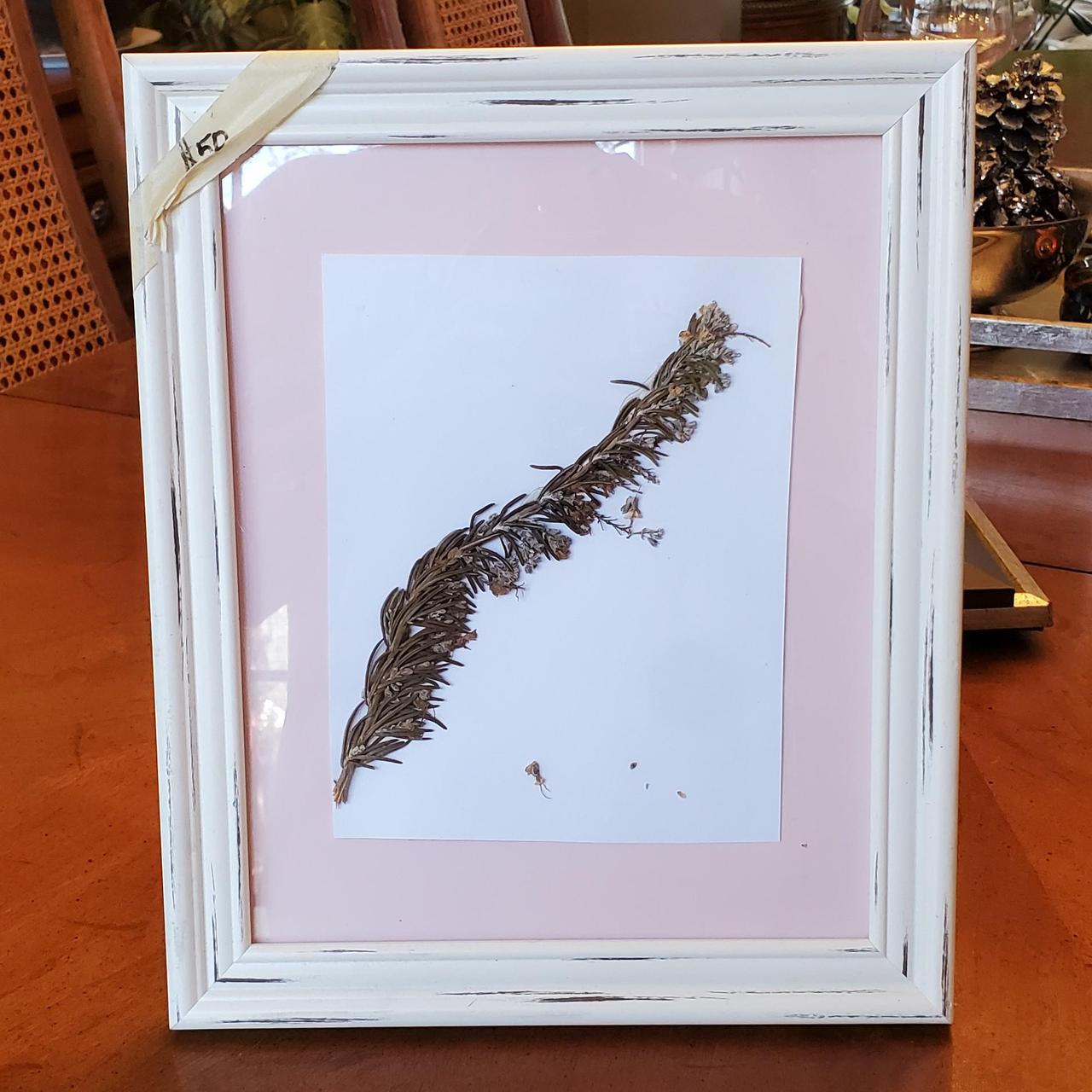 Beautiful pressed branch on paper in frame by me. - Depop