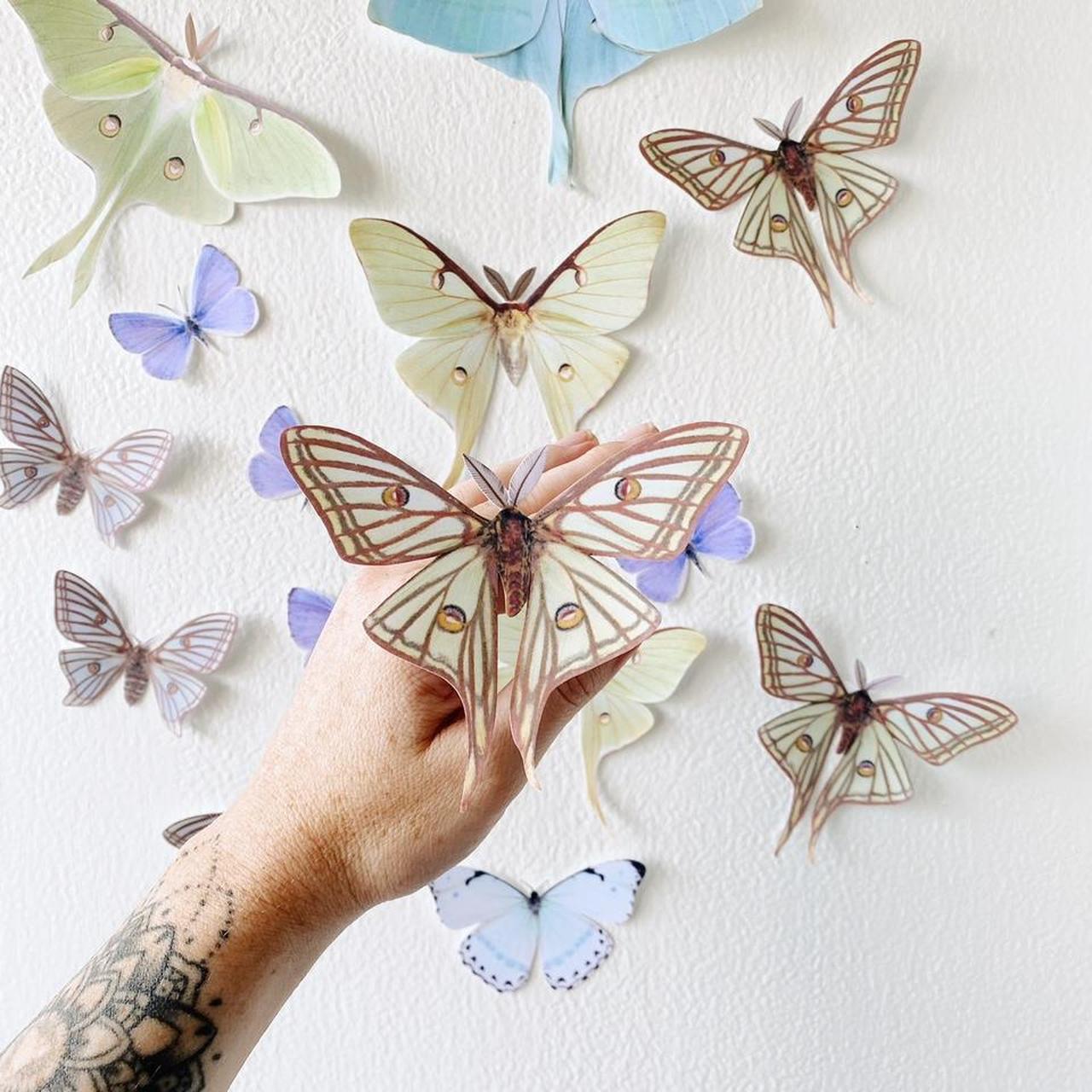 paper Luna moths and two butterflies Set of 14... - Depop