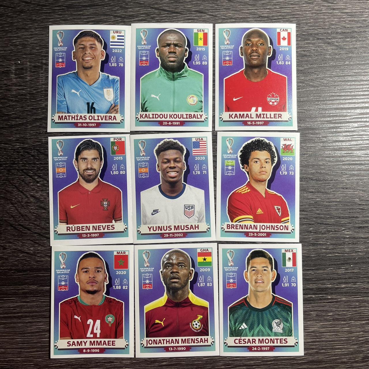 Panini Fifa World Cup 2022 Album Sticker Variety Pack - Depop