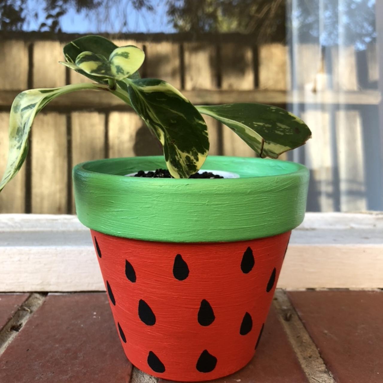 These hand painted quirky Watermelon pots are back... - Depop