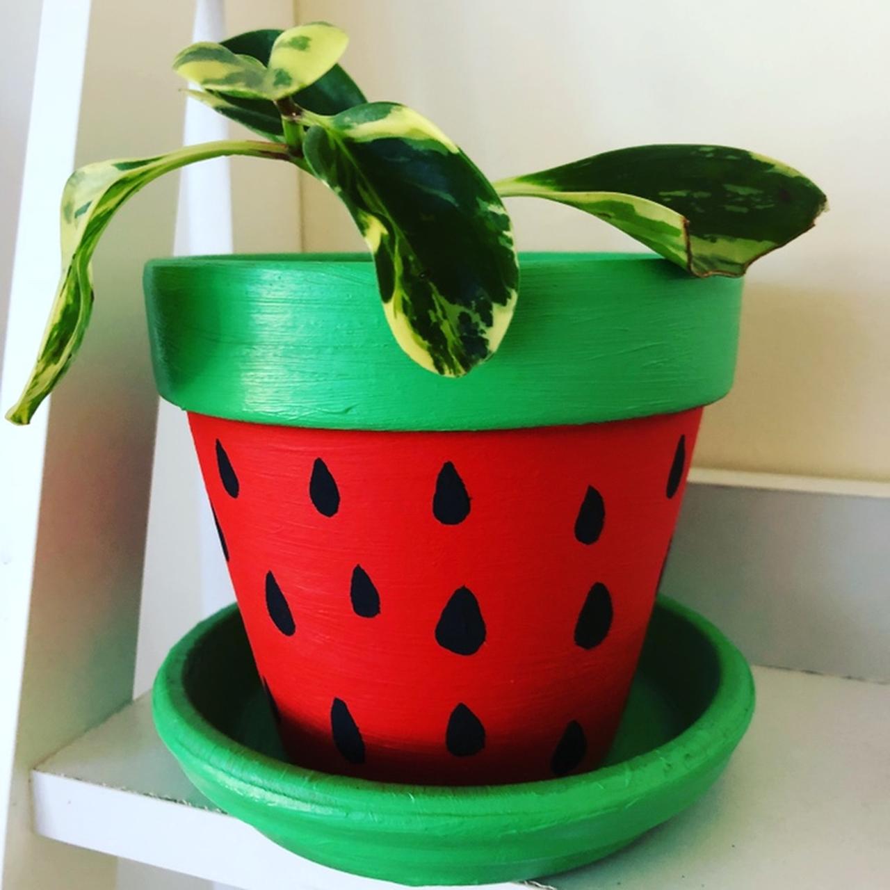 These hand painted quirky Watermelon pots are back... - Depop