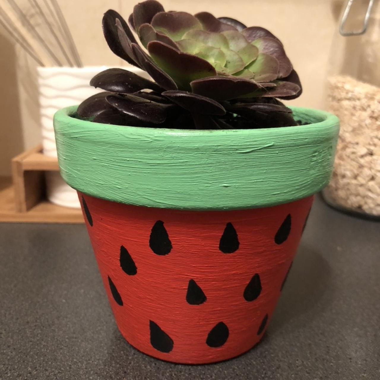 These hand painted quirky Watermelon pots are back... - Depop