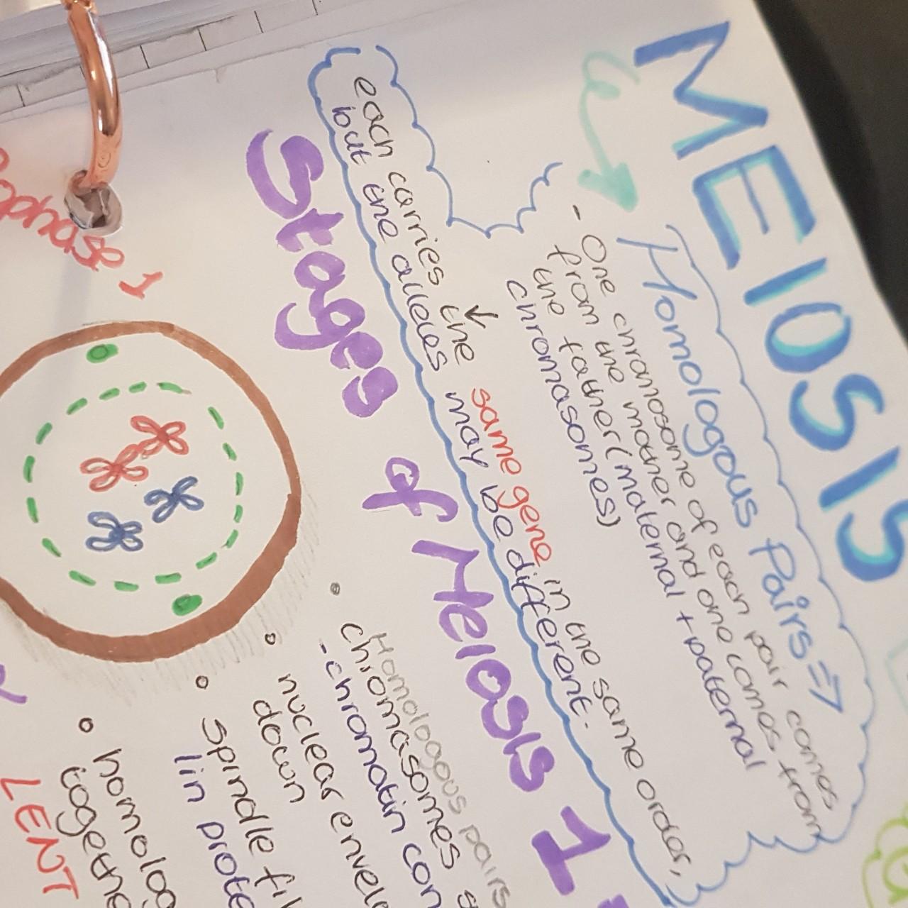 AS BIOLOGY NOTES 🦎 Includes detail A3 summary sheet... - Depop