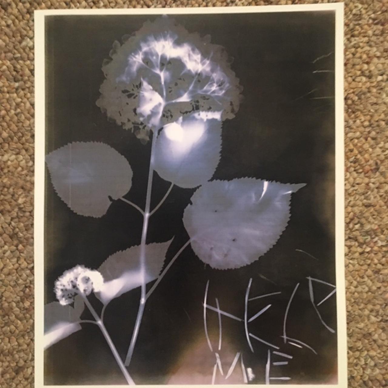 Print of a photogram I made with flowers and some... - Depop