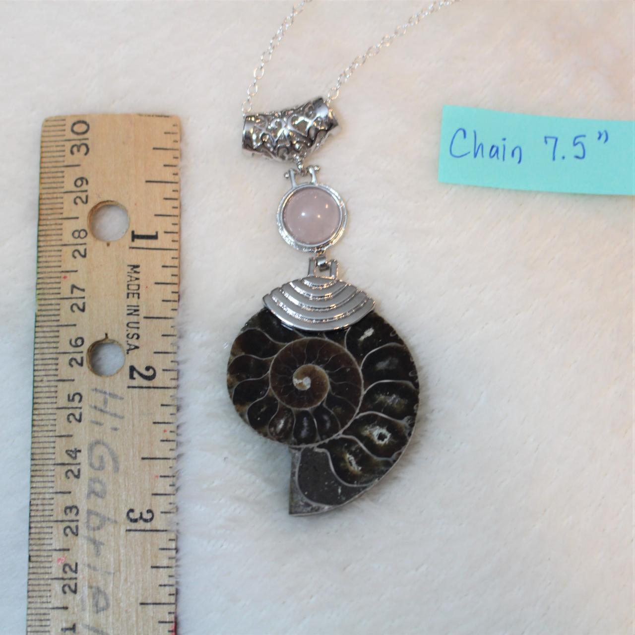 Rose Ammonite Fossil Quartz Chakra Reiki Healing... - Depop