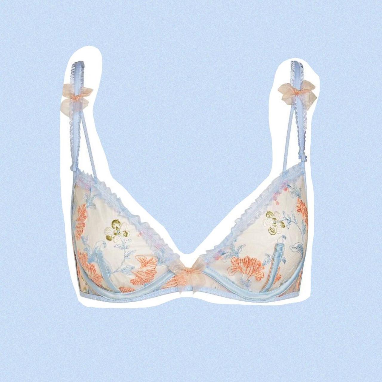 For Love & Lemons Women's Blue and Pink Bra | Depop