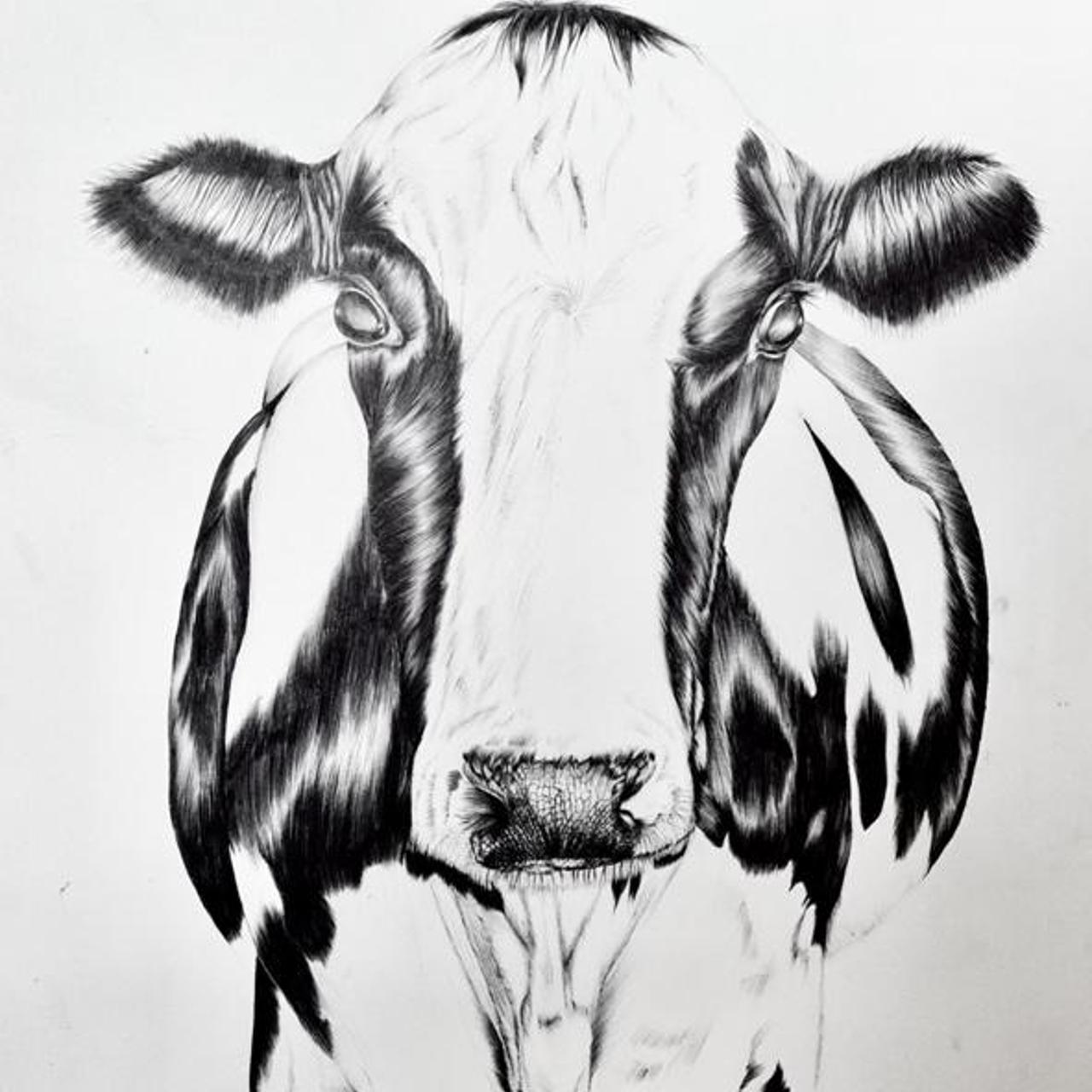 6x4 drawn print of cow in biro pen. Printed on high... - Depop
