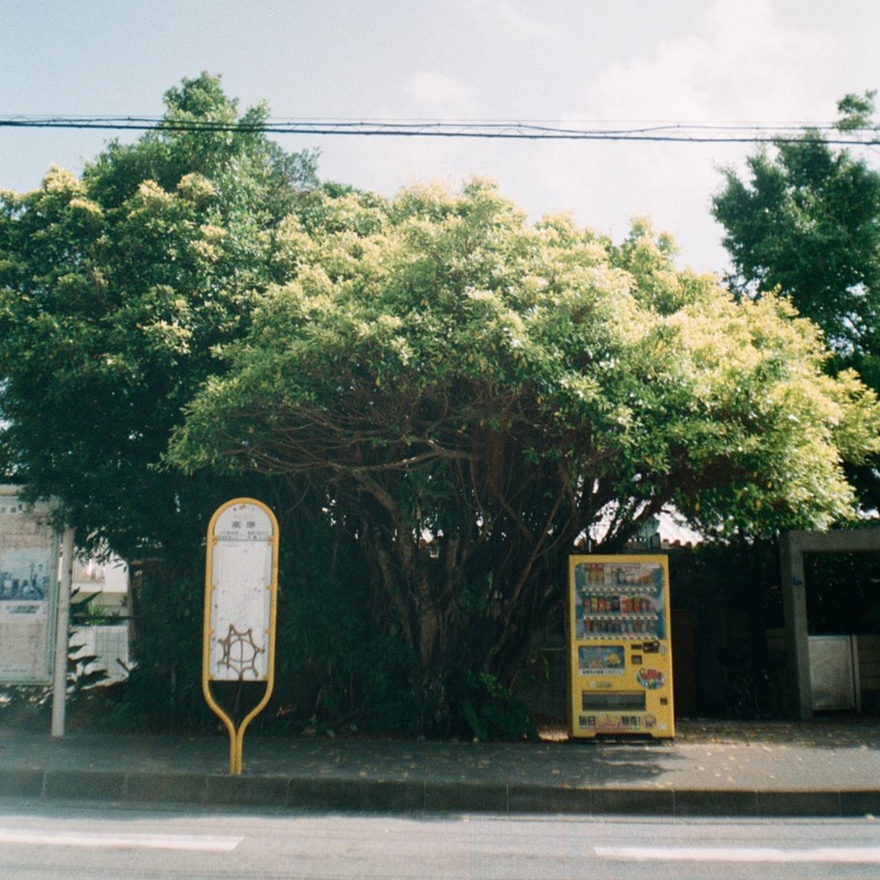 Fujifilm Superia premium 400 samples - Depop