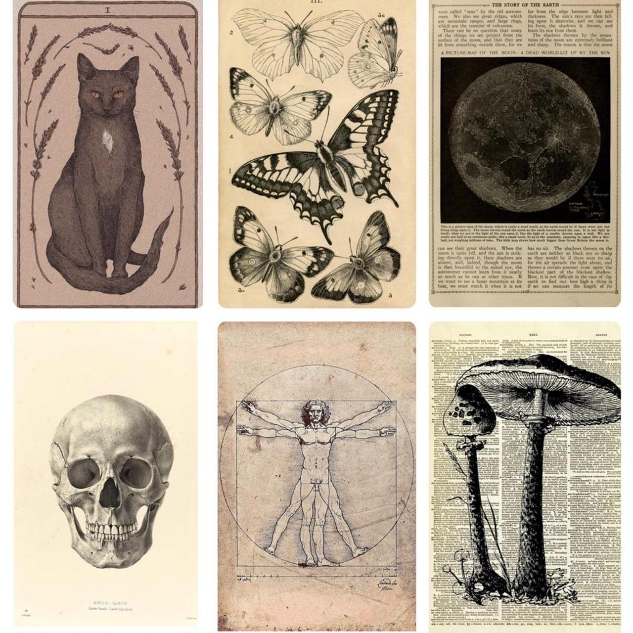 SET OF 6 DARK AESTHETIC MINI POSTERS 🖤 - You will... - Depop