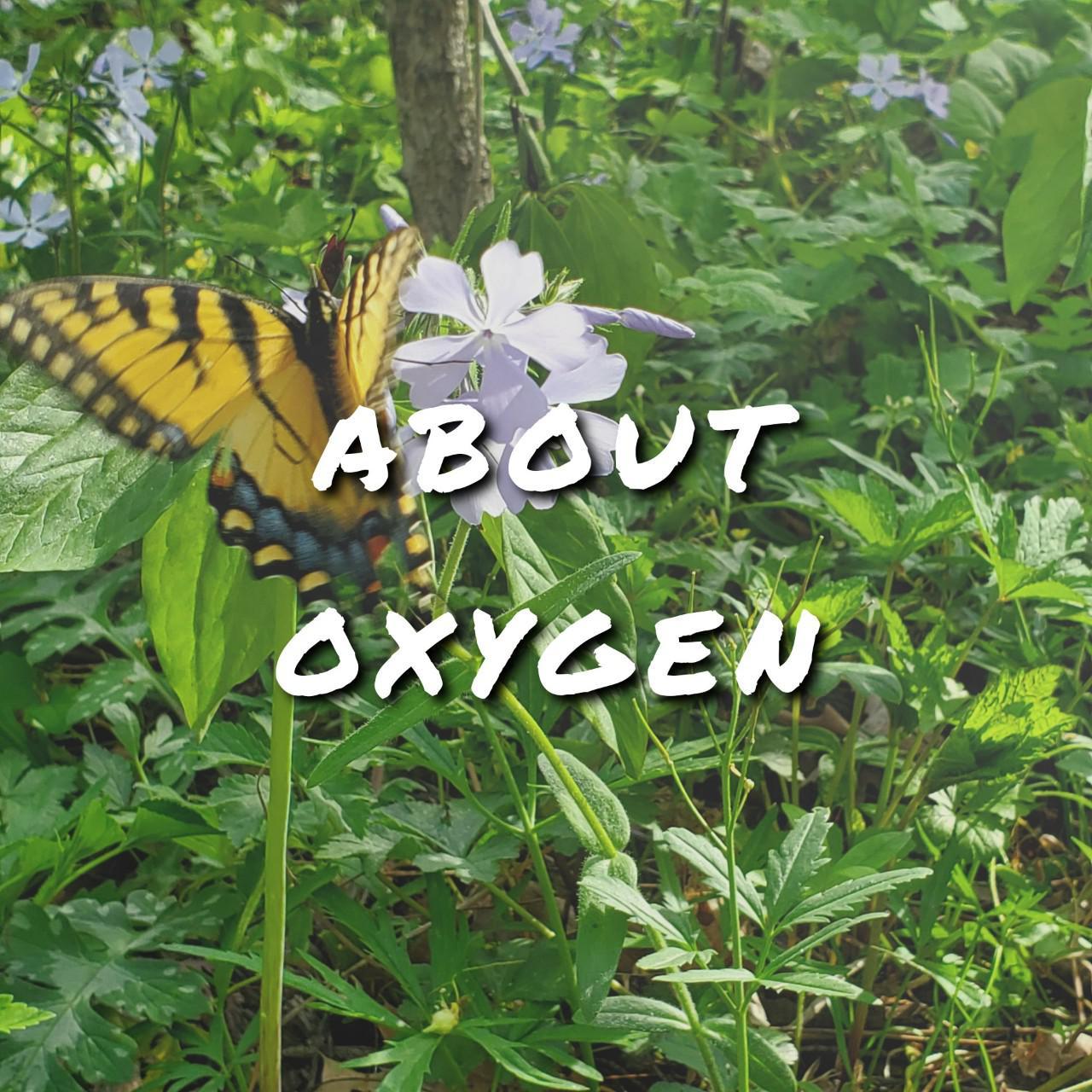 Oxygen is my brand that I created in 2019, during my... - Depop