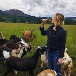 Ellyn Canfield's Shop - Depop