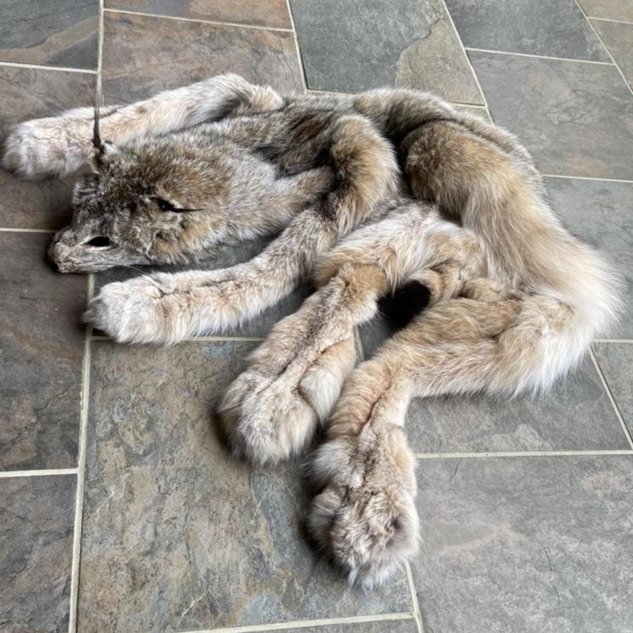 Canadian lynx pelt with all four paws. Measures... - Depop