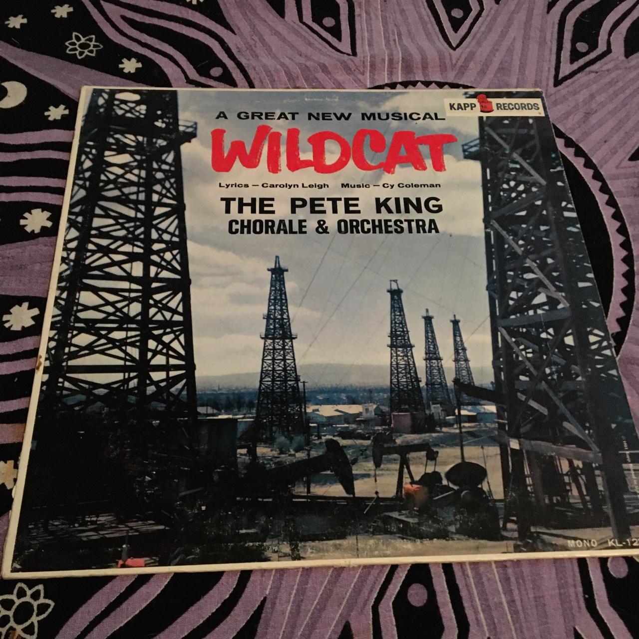 Lightly worn vintage Wildcat vinyl record. Plays... - Depop