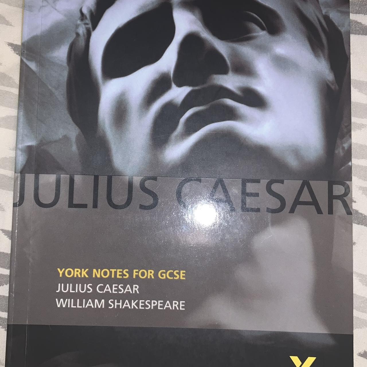 York Notes Julius Caesar revision guide for English... - Depop