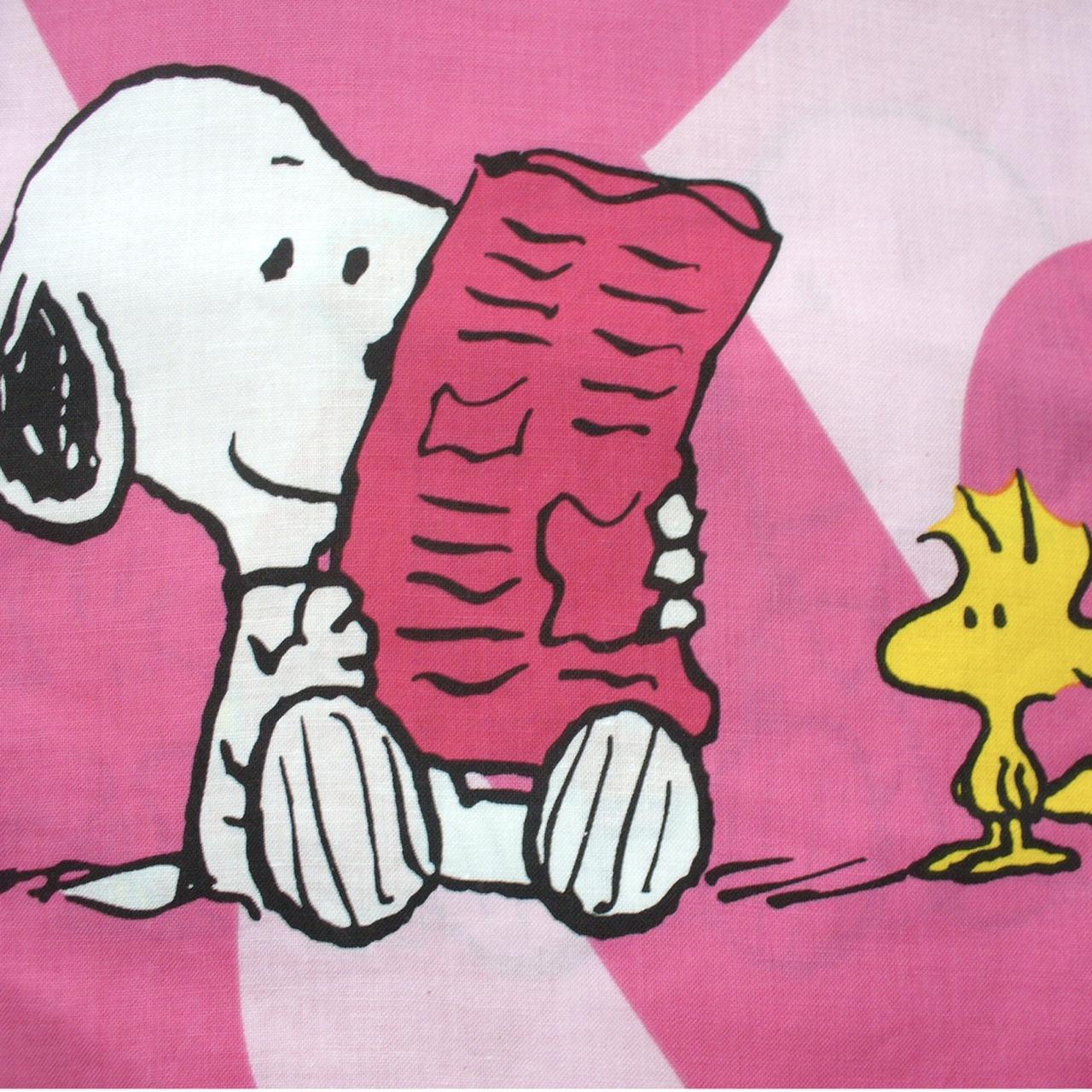 ४*ପ꒰⑅︎•ᴗ•｡꒱໊੭ ˙˙`··˙☆ Snoopy (スヌーピー) small... - Depop