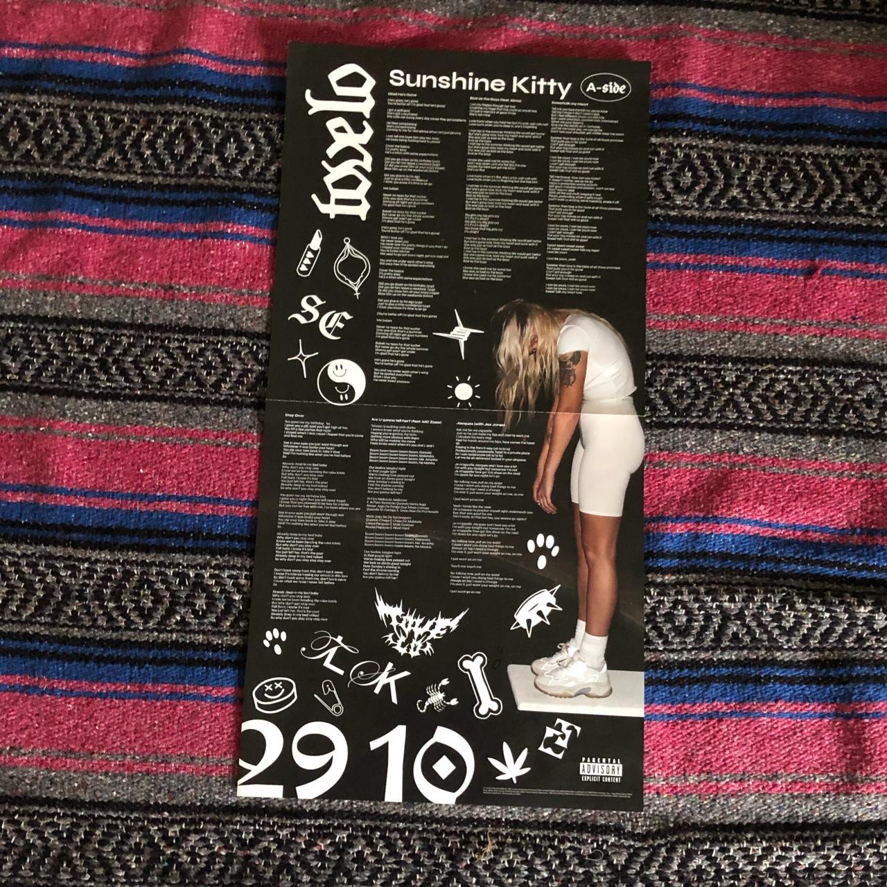 SUNSHINE KITTY VINYL POSTER 🌙 FREE SHIPPING FOR... - Depop