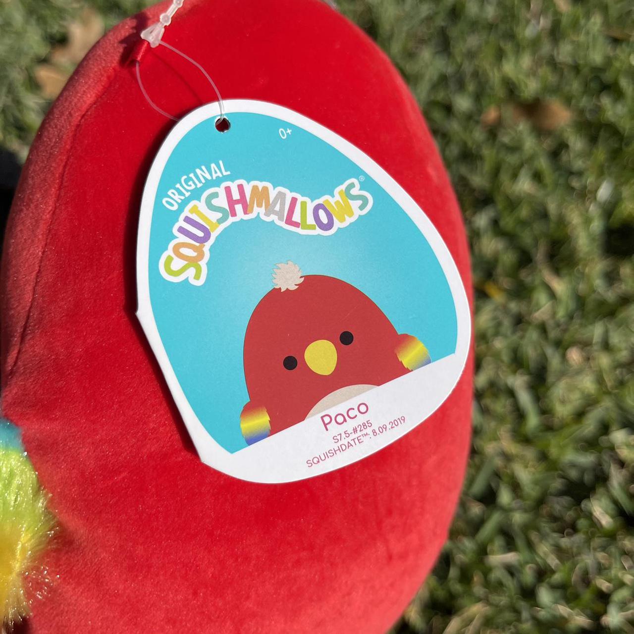 Paco Squishmallow •BNWT •parrot Squishmallow... - Depop