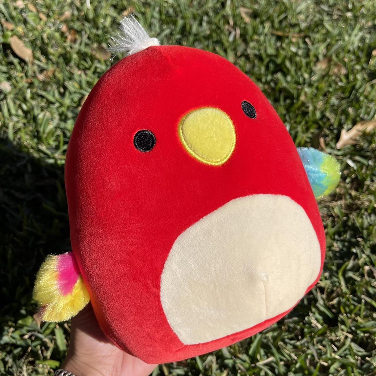 Paco Squishmallow •BNWT •parrot Squishmallow... - Depop