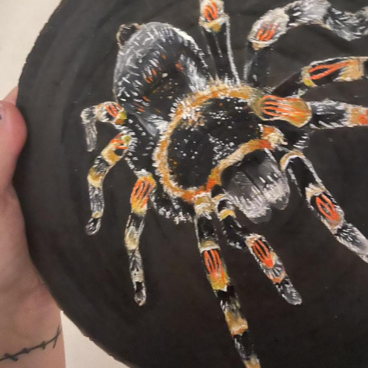 Tarantula wooden circle painting hand painted by me🥰... - Depop