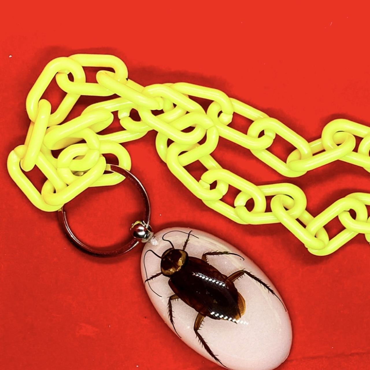 Glow in the Dark Acrylic Chain + Cockroach Pendant... - Depop