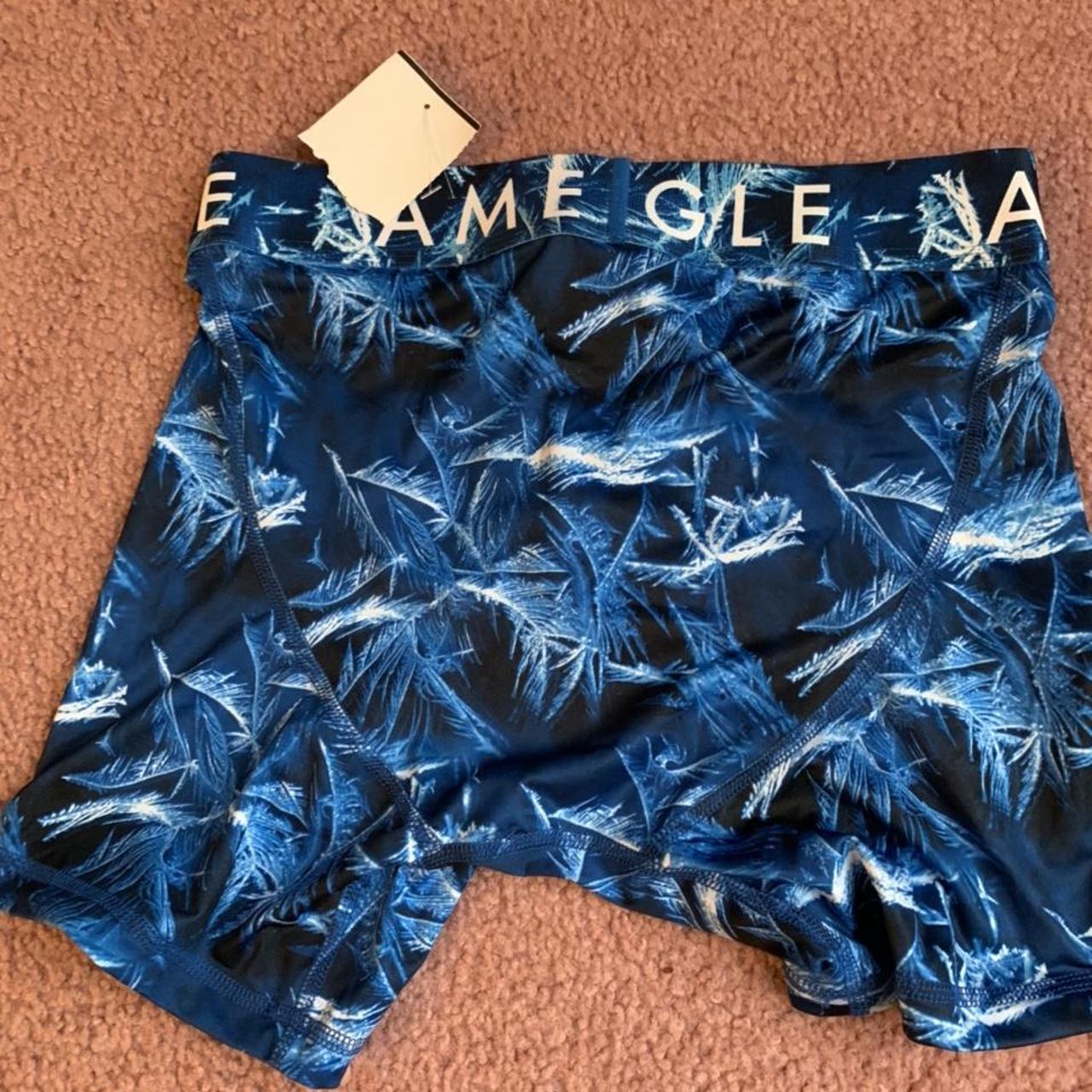 American Eagle Underwear Briefs 🦅 New Never Depop