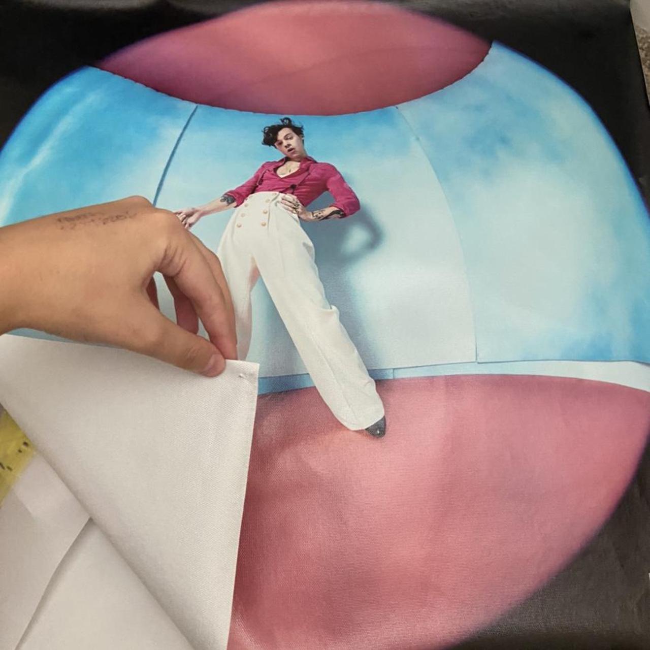Fine Line Harry Styles album cover poster good... - Depop
