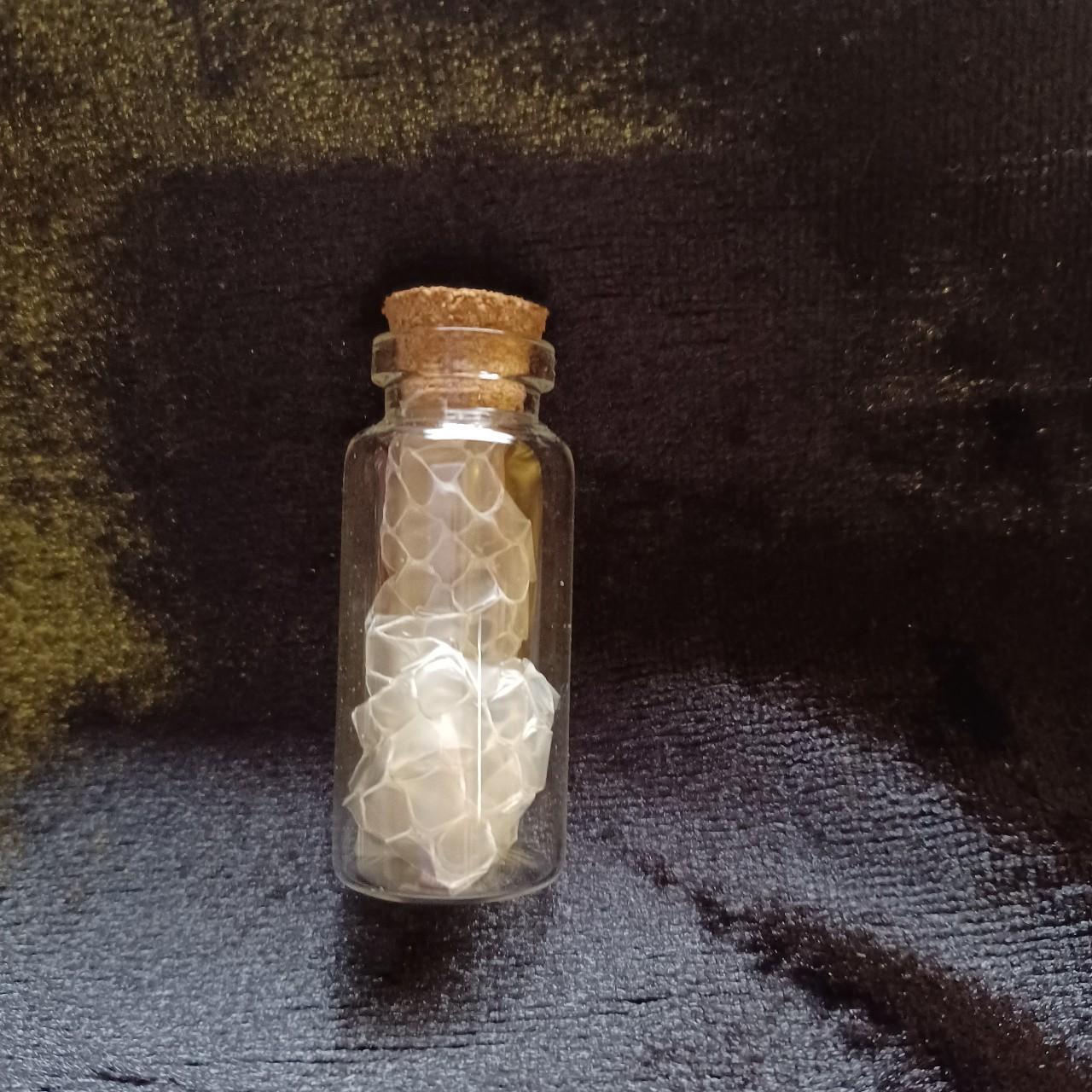 Milk snake skin in glass jar #snakeskin #taxidermy... - Depop
