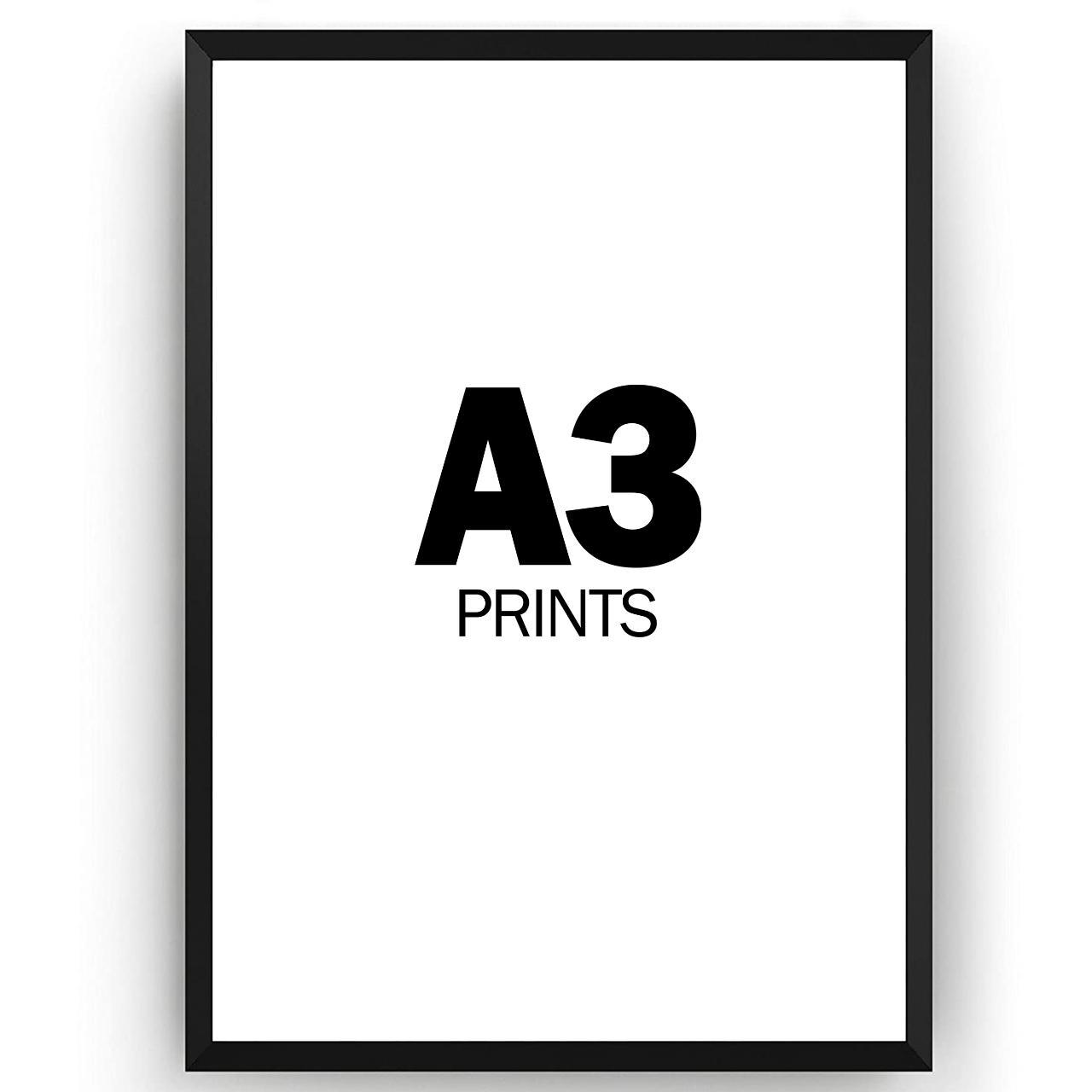 A3 PRINTS - order here for any A3 prints! message... - Depop