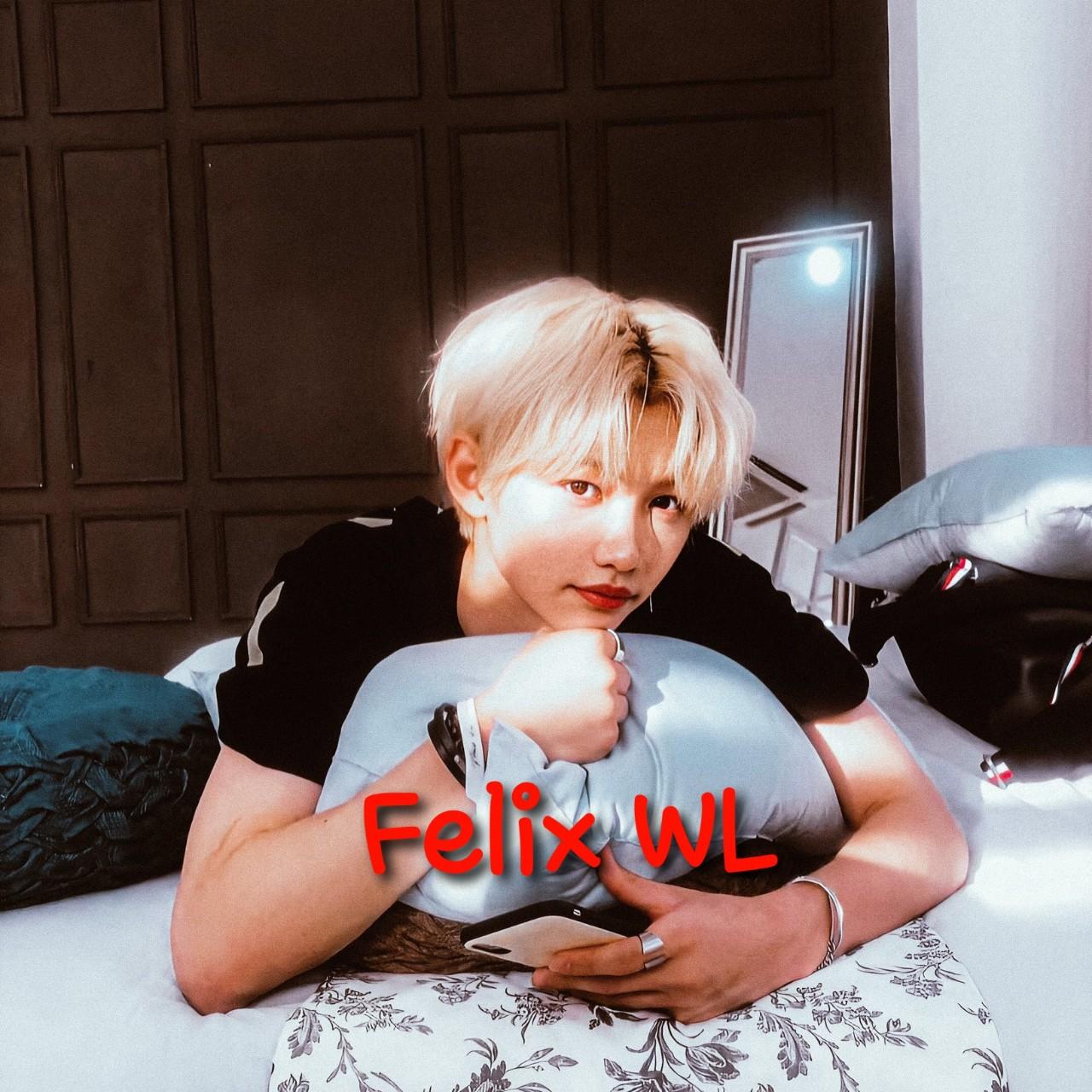 Stray Kids Felix wishlist DO NOT BUY LISTING, IT IS... - Depop