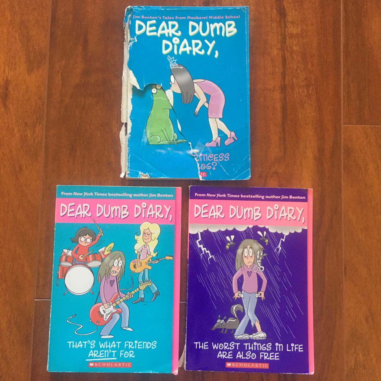 Dear Dumb Diary Jamie Makeover