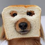 bubaluu's Depop Shop | Depop