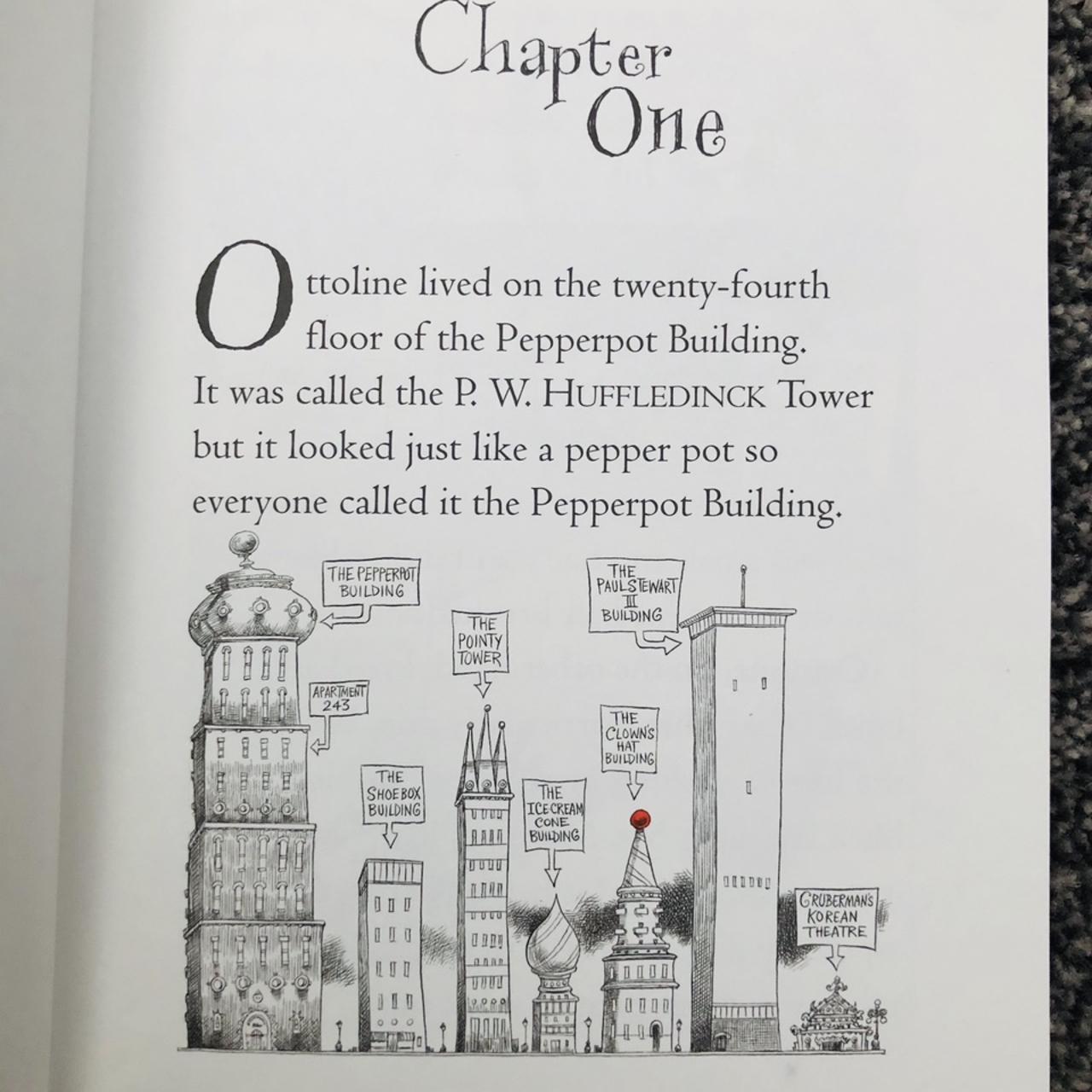 Ottoline and the yellow cat by Chris Riddell... | Depop