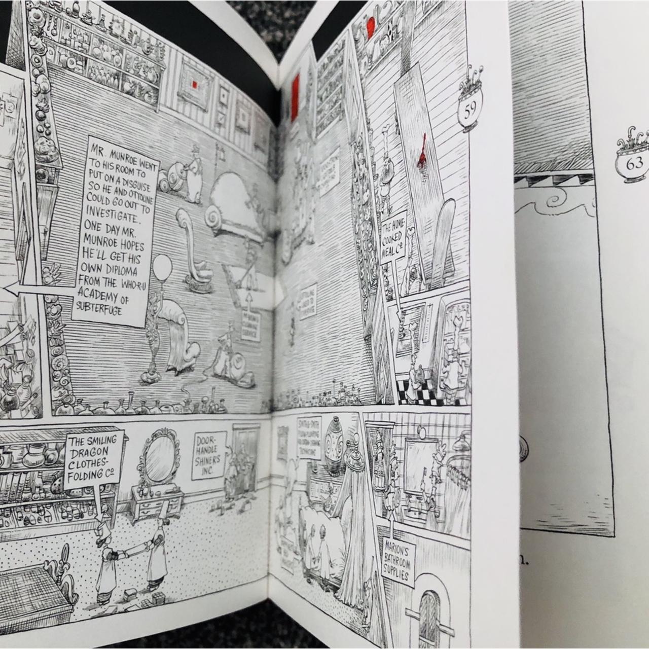 Ottoline and the yellow cat by Chris Riddell... | Depop