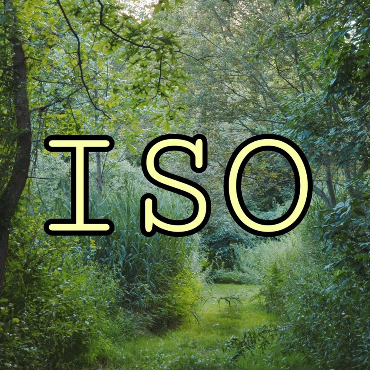 ISO POST! Finally making my ISO post! Along with... - Depop