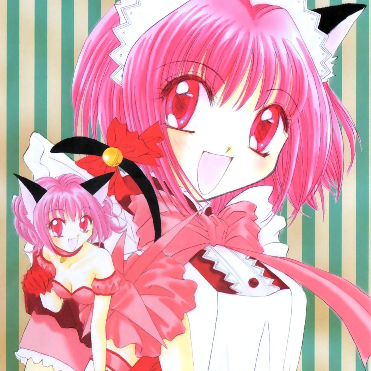 This is reserved for taykaytee ! Tokyo Mew mew - Depop