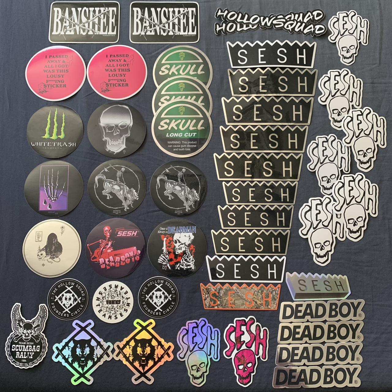 Teamsesh x Hollowsquad Hat/Sticker/Accessory... | Depop