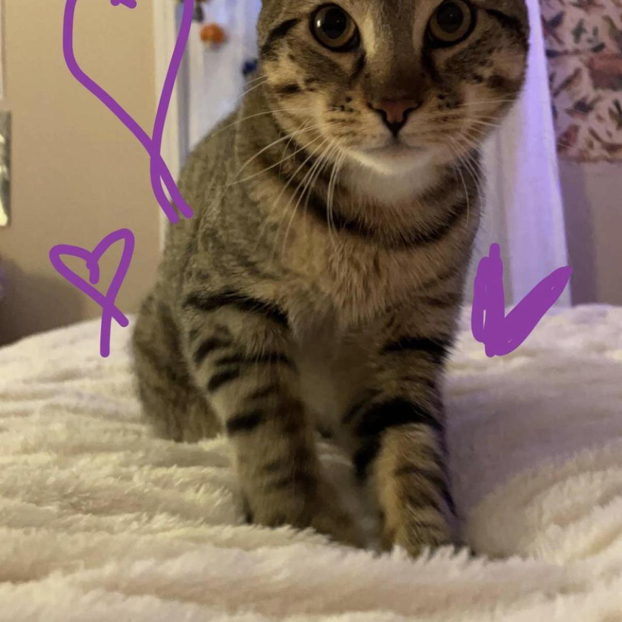 MEET THE SELLER: Hello! My name is Kaley Grace. I’m... | Depop