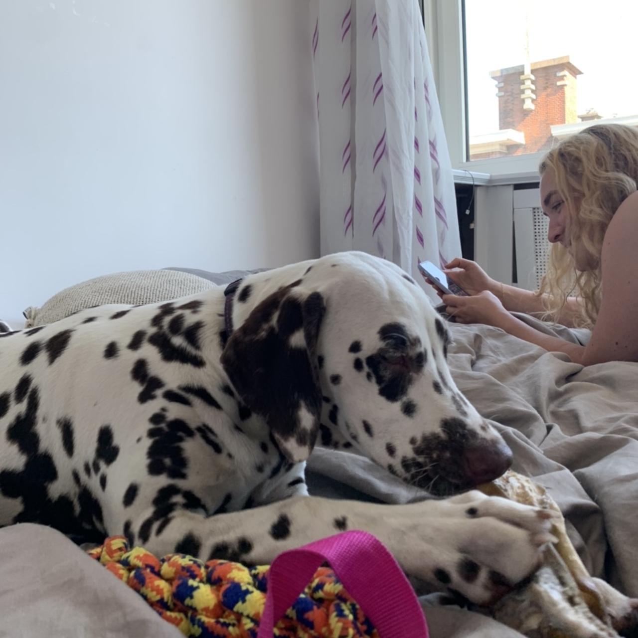 this was the most wholesome week ever :( im in tears... | Depop