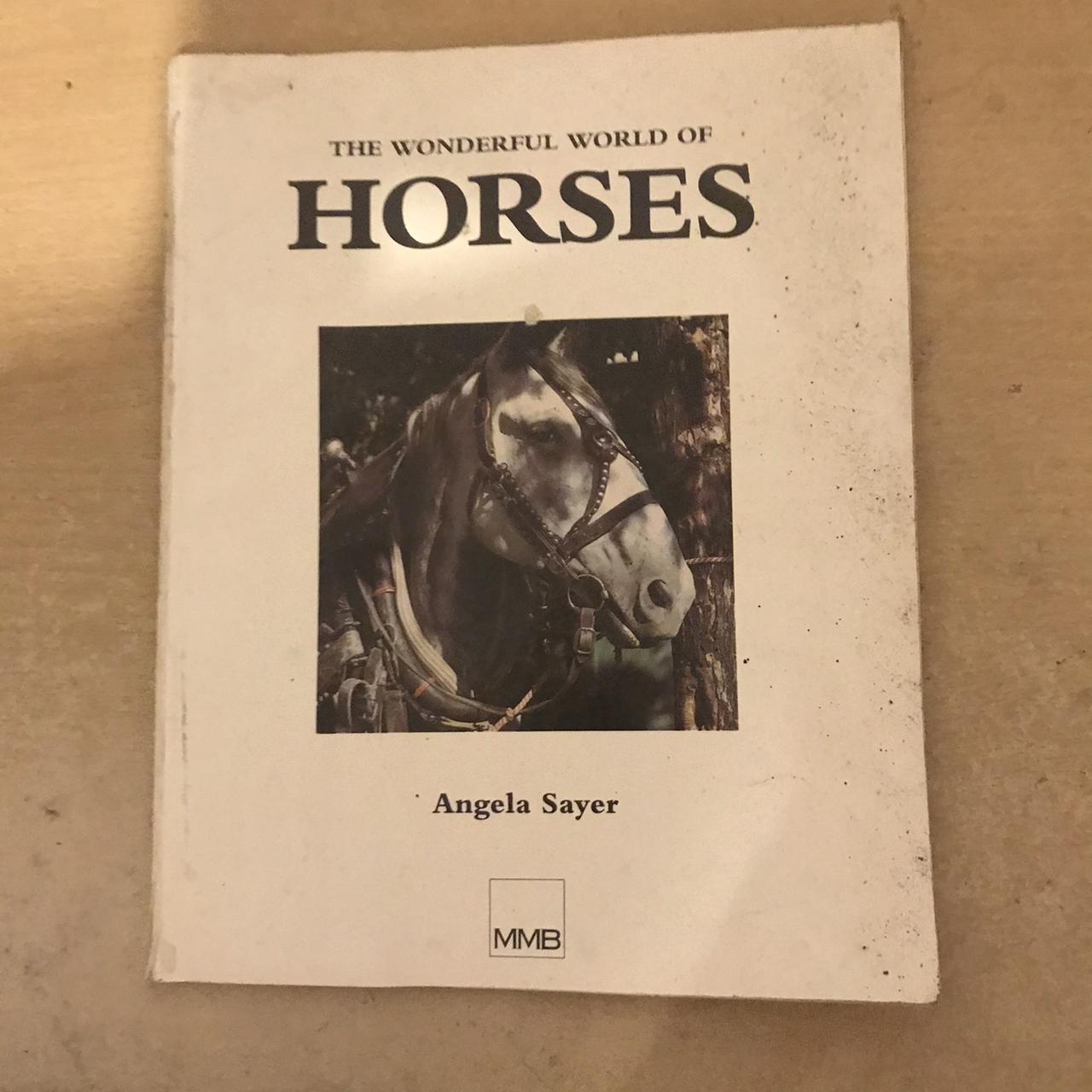 The wonderful world of horses by Angela Sayer - Depop