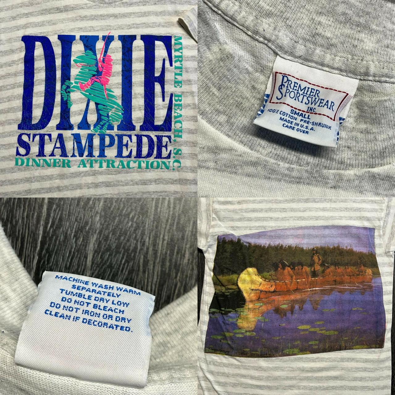 Dixie Stampede T Shirt Adult Small Gray Striped Test... - Depop