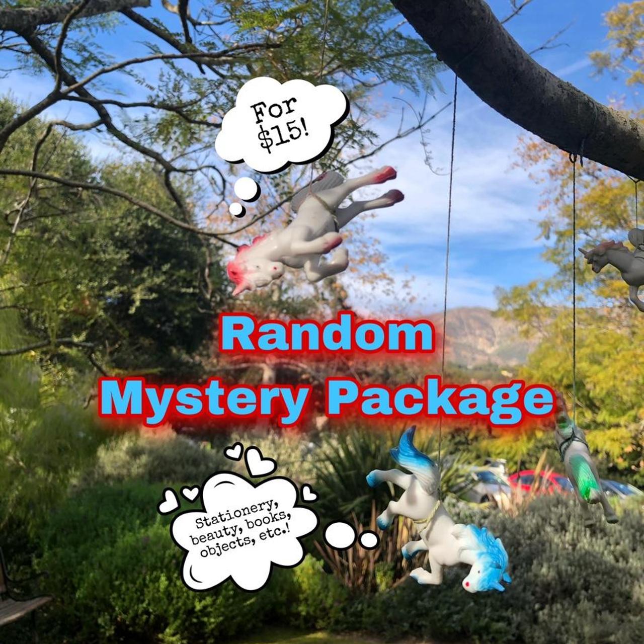 💖 random mystery package! 🦔 🌟FREE SHIPPING🌟 I... - Depop