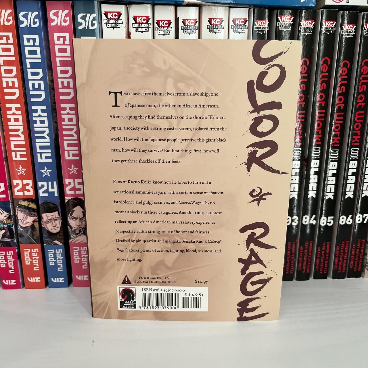 Color of Rage Manga Near mint condition. No... - Depop