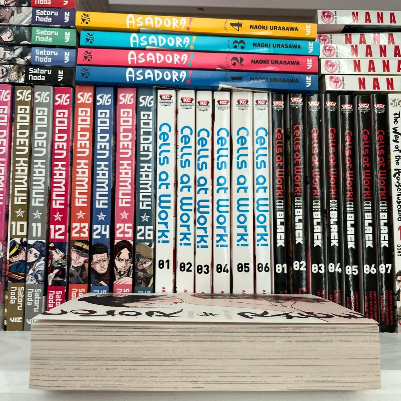 Color of Rage Manga Near mint condition. No... - Depop